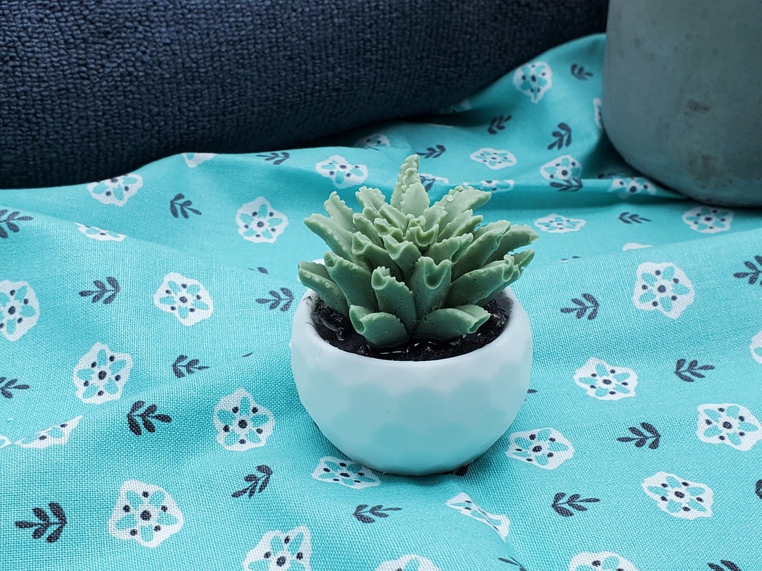 Mini Potted Succulent Soap! Little Tiny Aloe Plant Soap! Realistic Soap ...