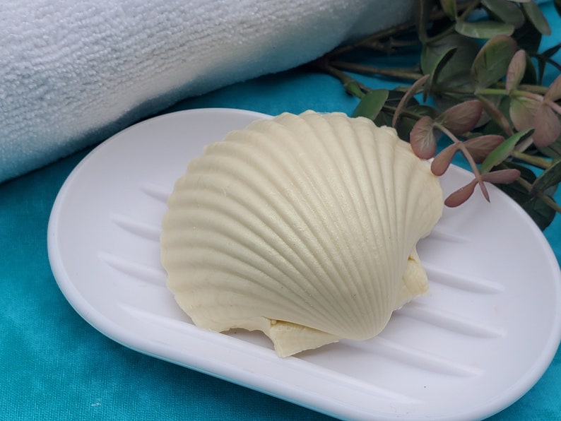 Large Sea Shell Soap Choose Your Scent Realistic Soap That - Etsy
