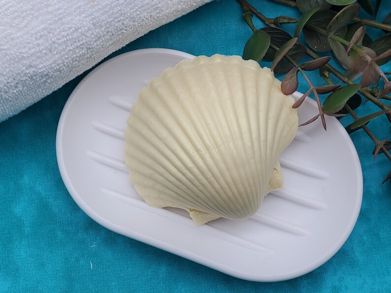 Large Sea Shell Soap! Choose Your Scent! Realistic Soap That Looks Like ...