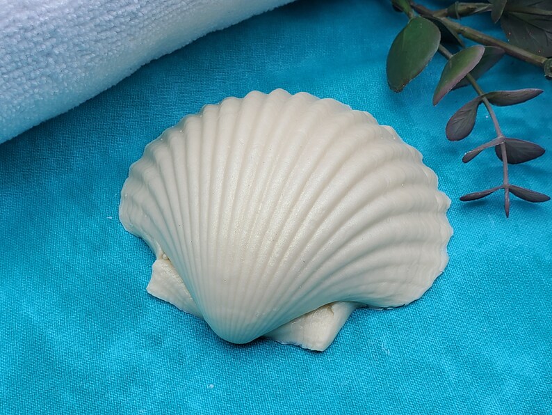 Large Sea Shell Soap Choose Your Scent Realistic Soap That - Etsy