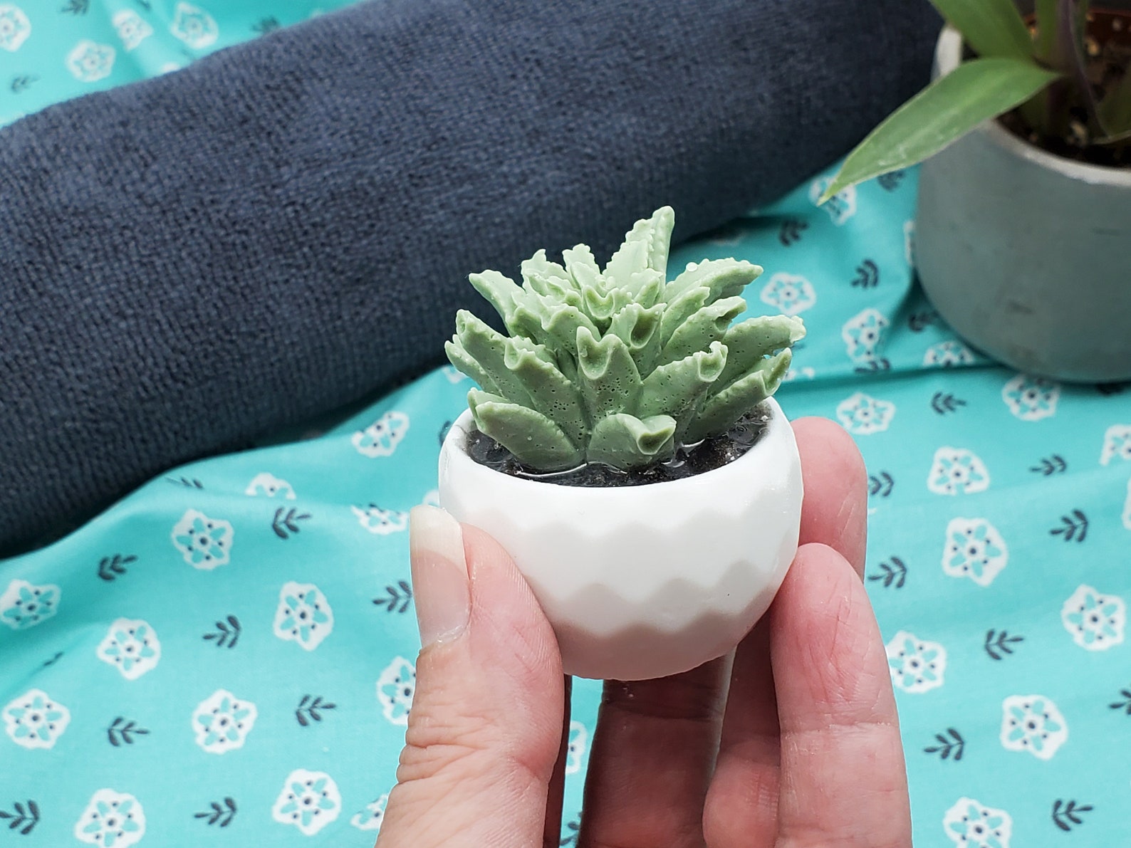 Mini Potted Succulent Soap! Little Tiny Aloe Plant Soap! Realistic Soap ...