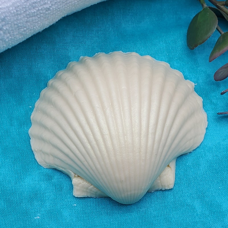 Sea Shell Soap - Etsy