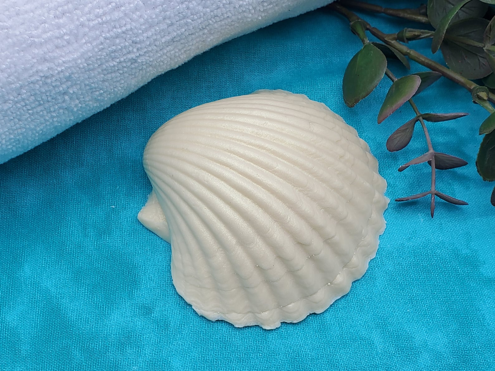Large Sea Shell Soap Choose your scent Unique gift favor | Etsy