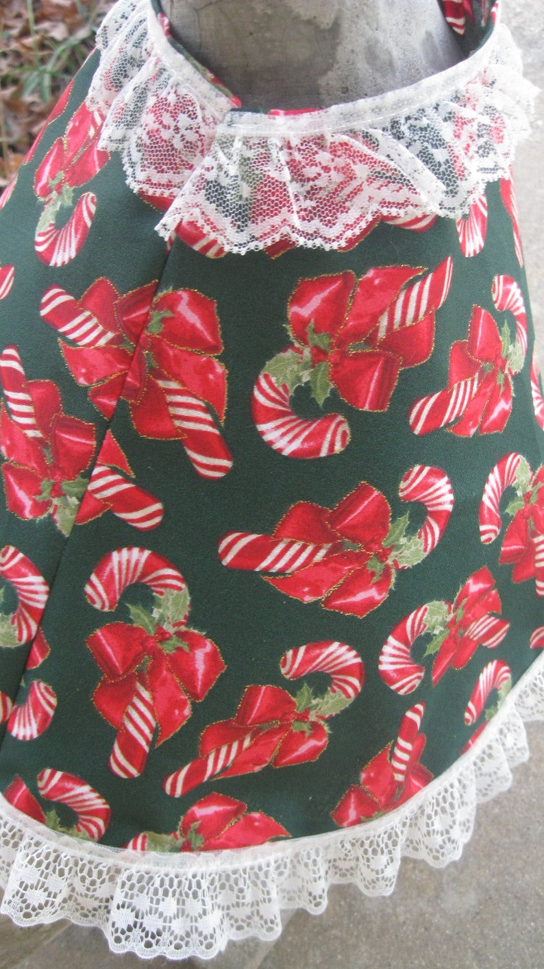 Candy Canes on Green Goose Dress/goose Clothes/concrete - Etsy