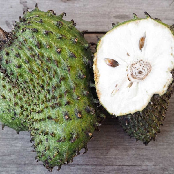 Soursop Fruit - Etsy