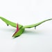 Pterodactyl, Origami Dinosaur, Paper Handmade Art, Dinosaur Lovers ...