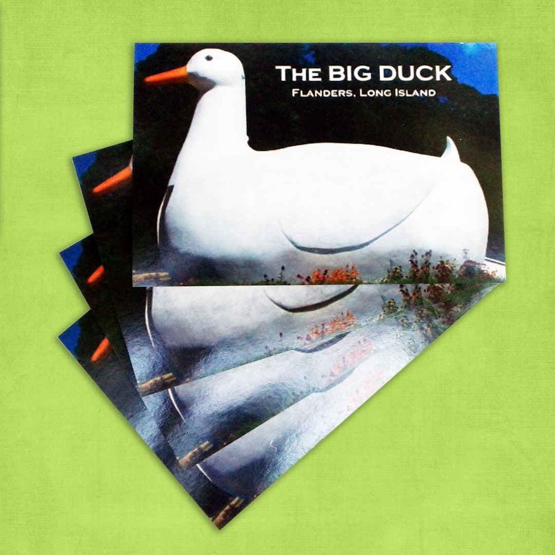 BIG DUCK POSTCARDS Set of 4 - Etsy