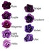 Minimalist Flower Hair Clip Small Rose Hair Accessories, Tiny Hairclip ...