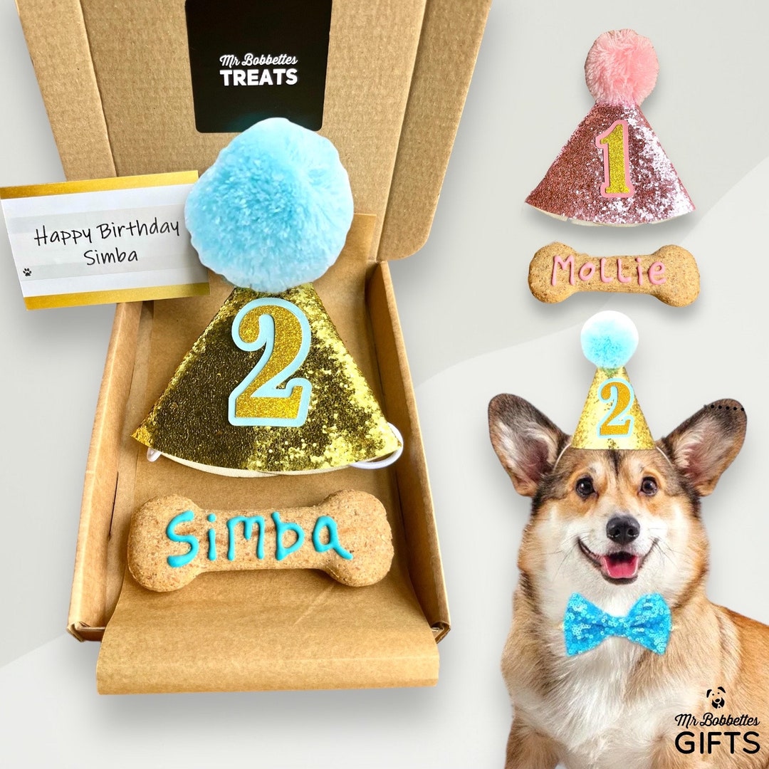 Dog Party Hat & Biscuit Bone Gift Set, Pink or Blue, 100% Natural Dog ...