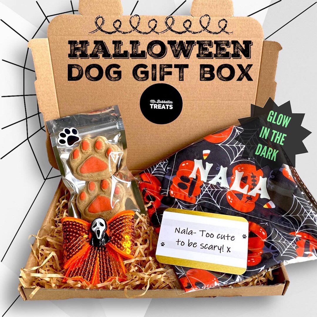 Personalised Halloween Dog Gift Box, Bandana, Treats, Bow Tie, Glow in ...