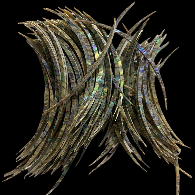 Blue Abalone Shell - Etsy