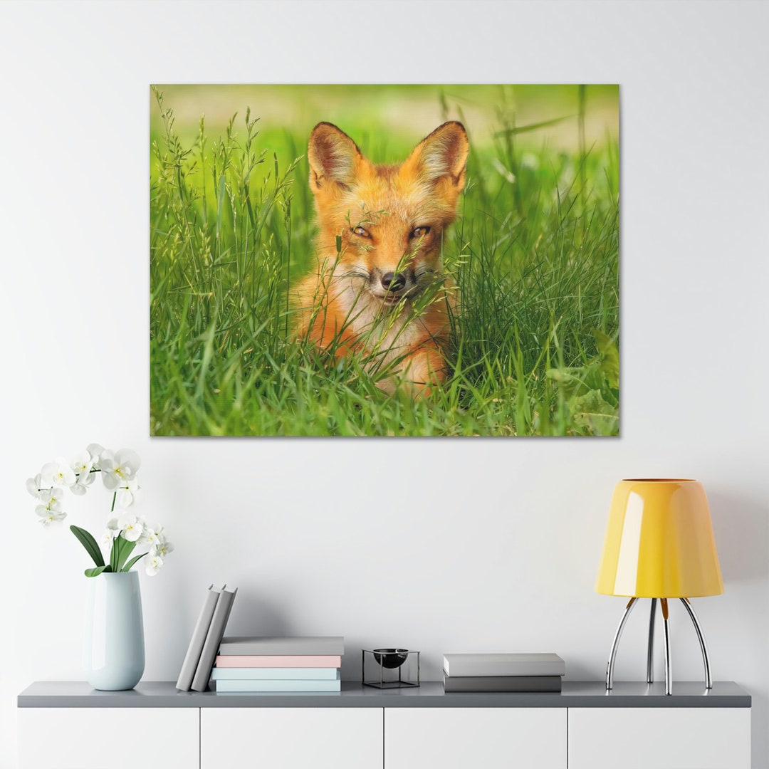 Fox Canvas, Fox Wall Decor, Fox Canvas Decor, Fox Decoration, Fox Kit ...