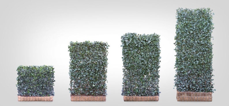 Mobilane Instant Green Screen a Ready Made Privacy Hedge - Etsy Ireland