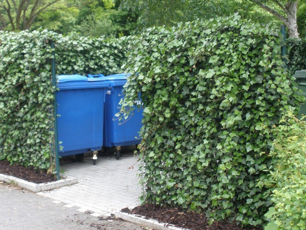 Mobilane Instant Green Screen a Ready-made Privacy Hedge,pre-grown ...