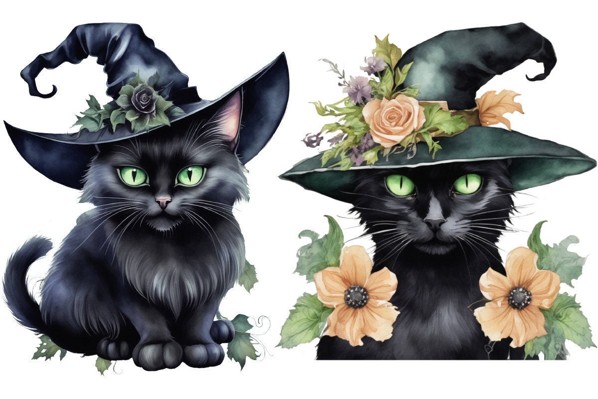 Halloween Cats, Evil Cats, Png Transparent, Kitten Pictures, Kitten Art ...