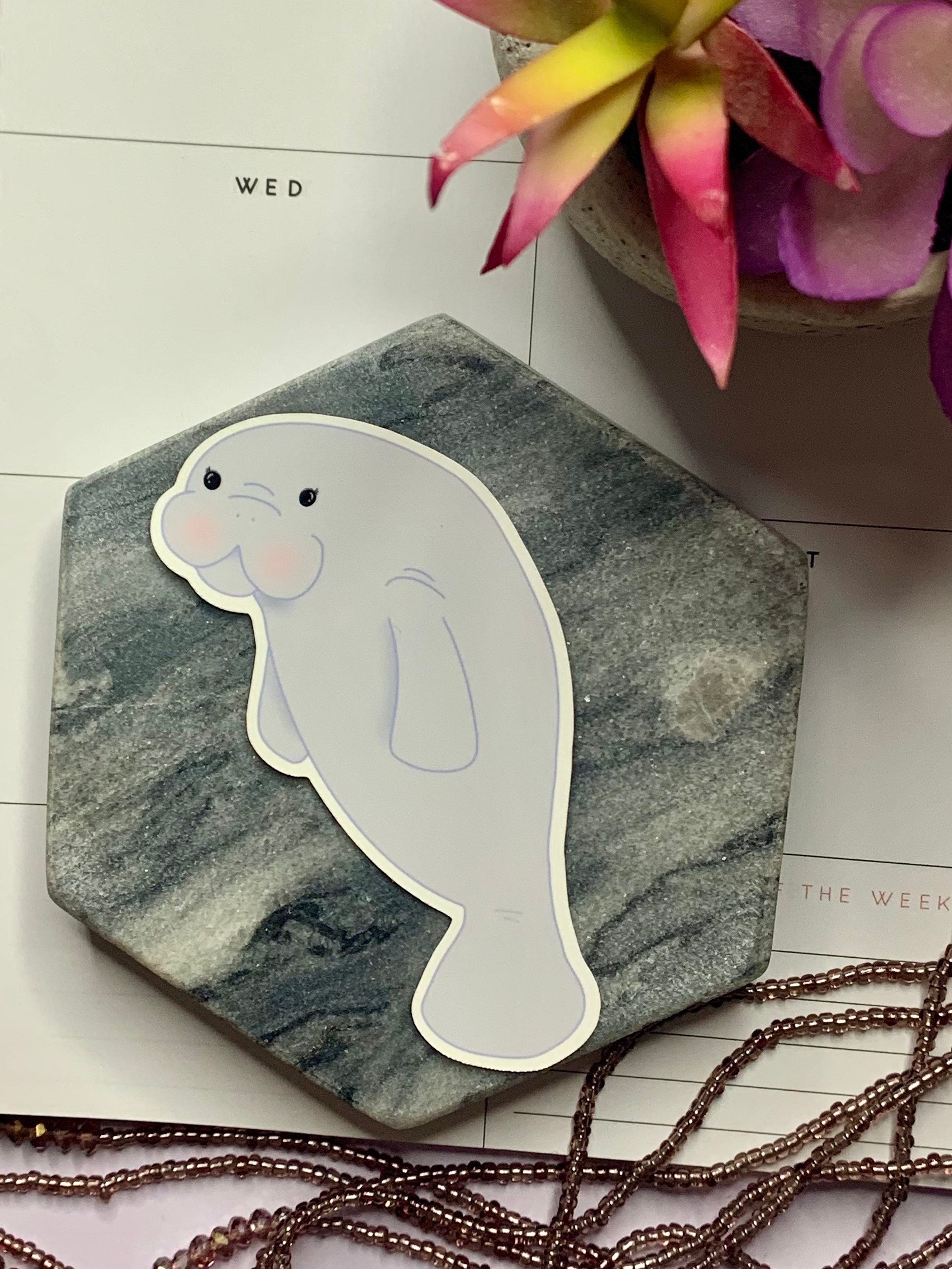 Manatee Sticker Manatee Awareness Month Sticker Laptop Sticker Water ...