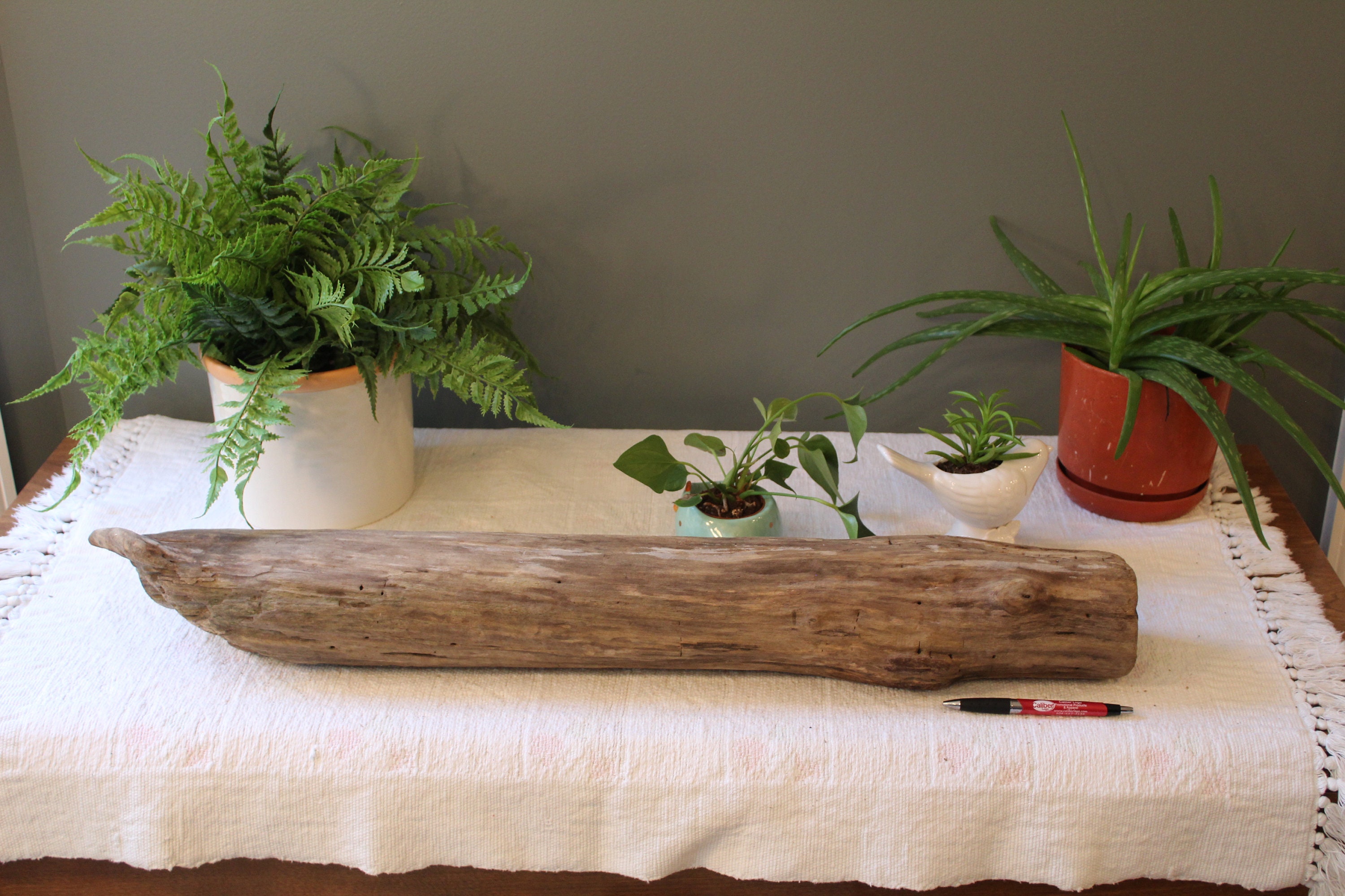 Driftwood Log Approx. 31" X 4" - DIY Garden Decor, Succulent Planter ...