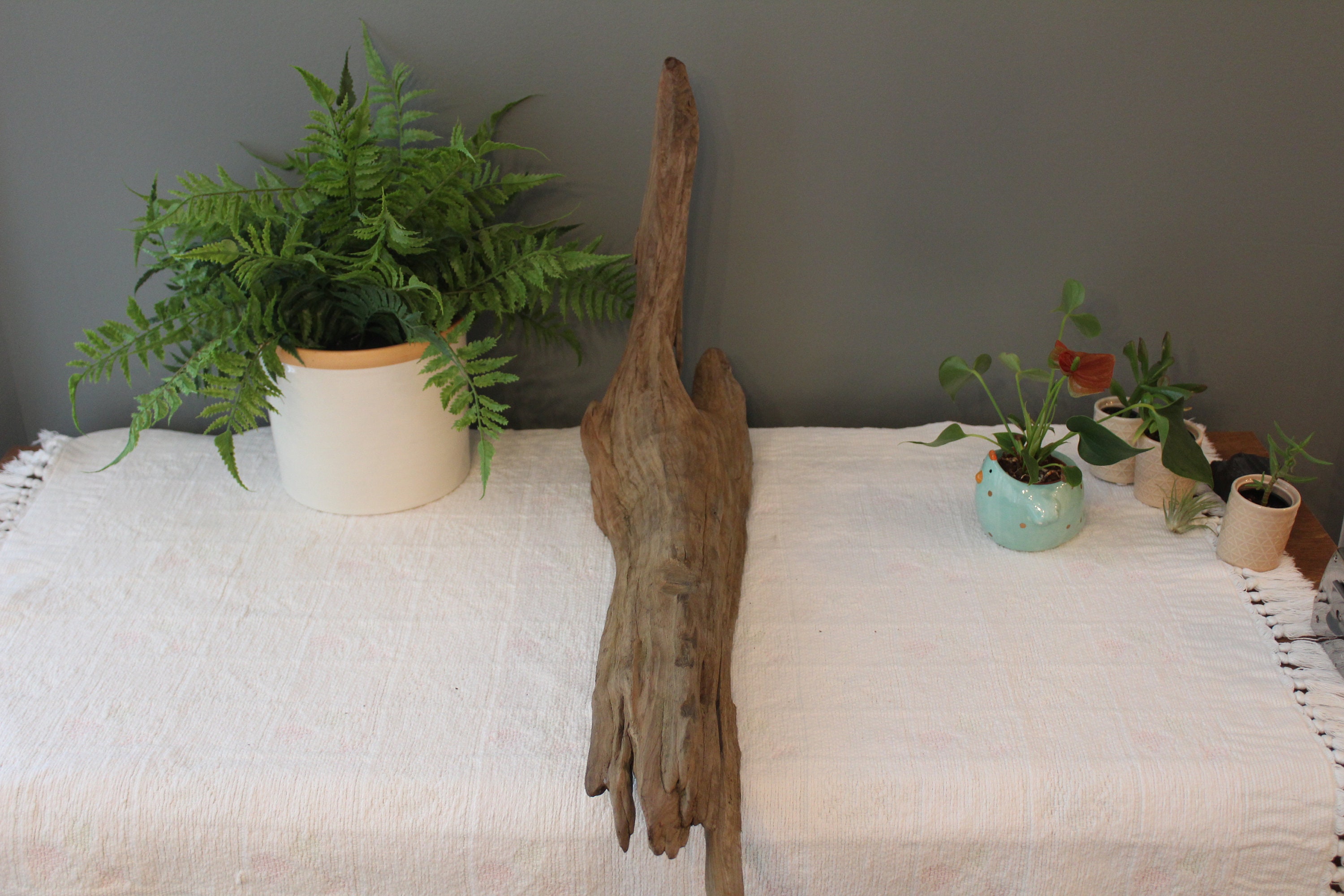 27 X 15 Unique Curved and Smooth Driftwood Branch | Etsy