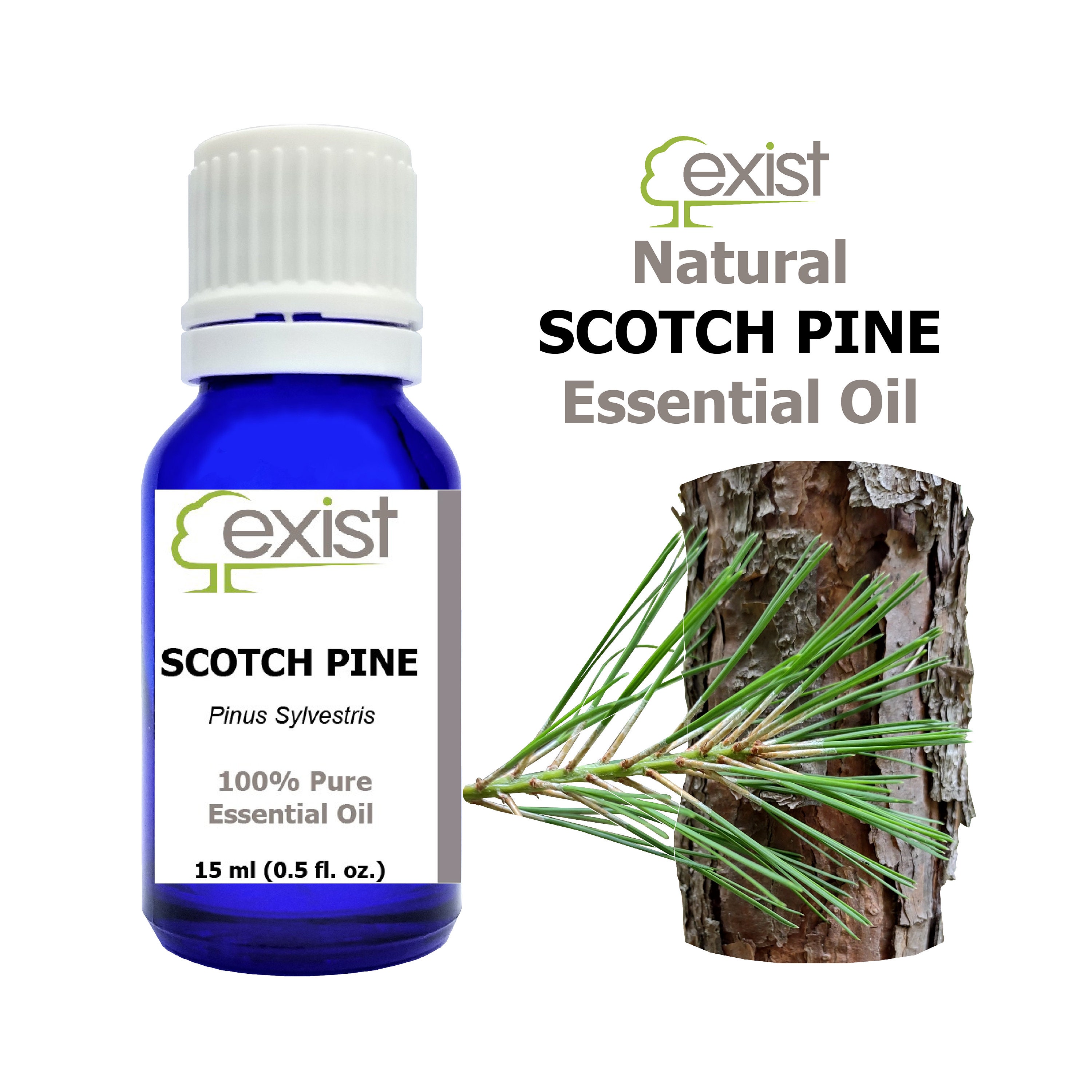 Pine Essential Oil Pure Therapeutic Grade Scotch Pine | Etsy