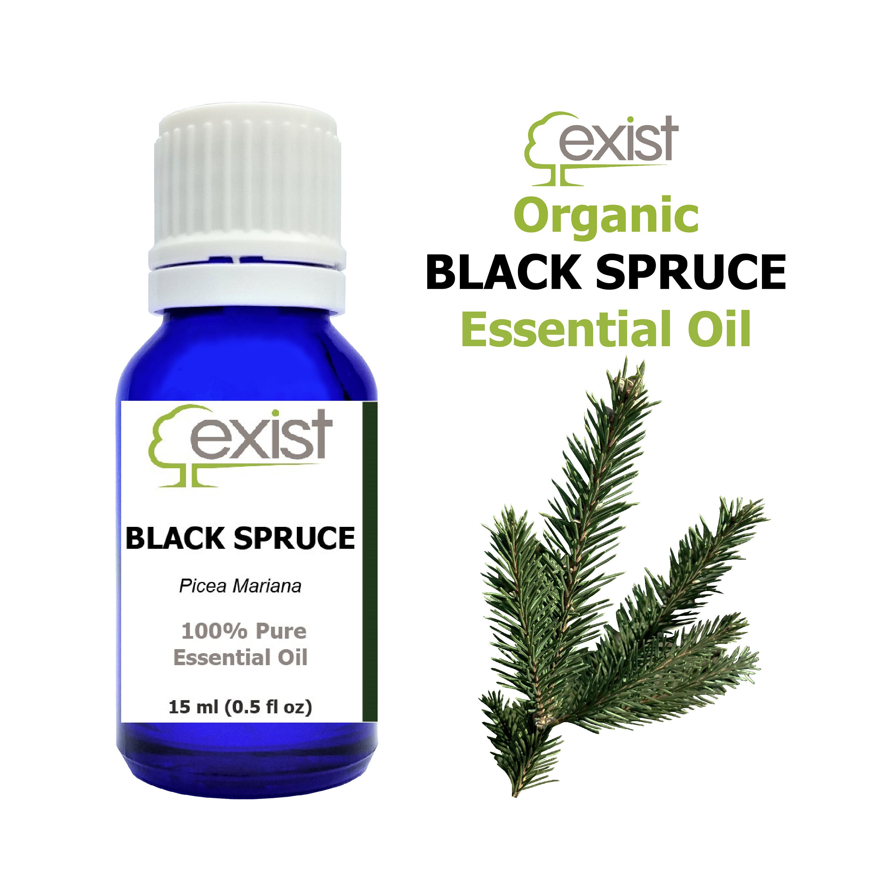 Organic Black Spruce Essential Oil Pure Therapeutic Grade | Etsy
