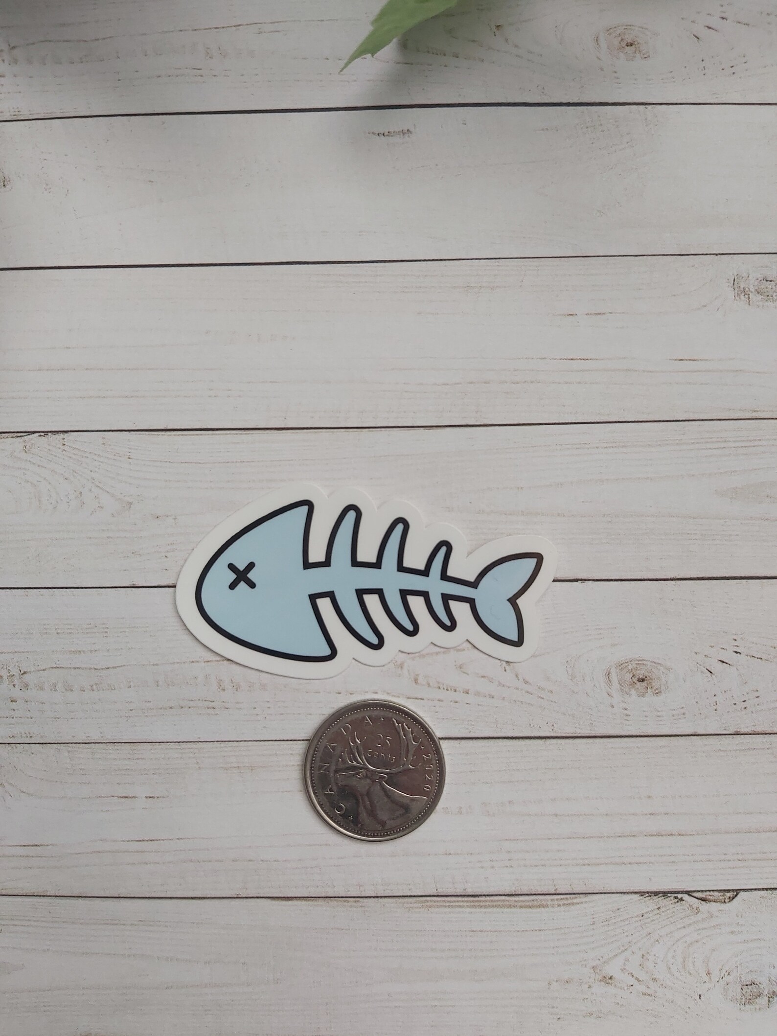 Fish Bone Sticker Fish Skeleton Sticker Fisherman Sticker - Etsy