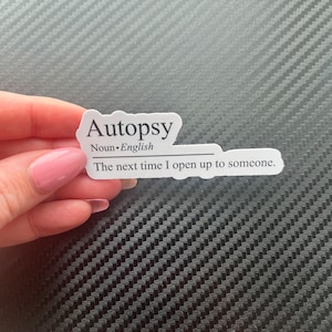 Laptop Stickers Funny, Waterbottle Sticker Funny, Sticker for Laptop ...