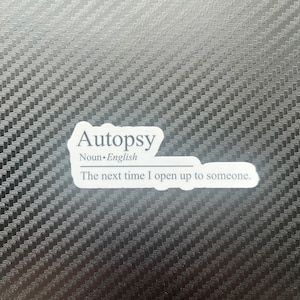 Laptop Stickers Funny, Waterbottle Sticker Funny, Sticker for Laptop ...