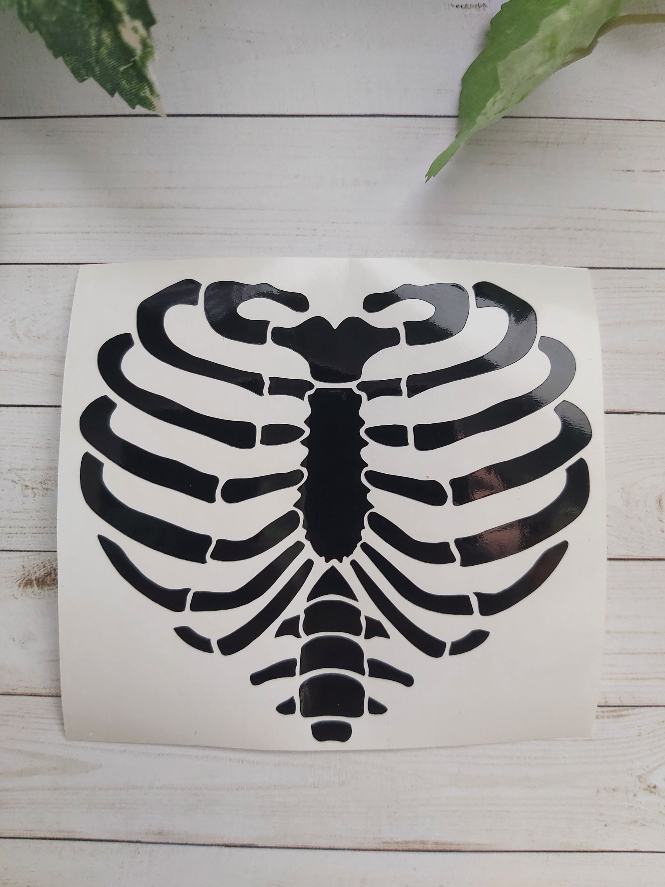 Rib Cage Decal - Etsy