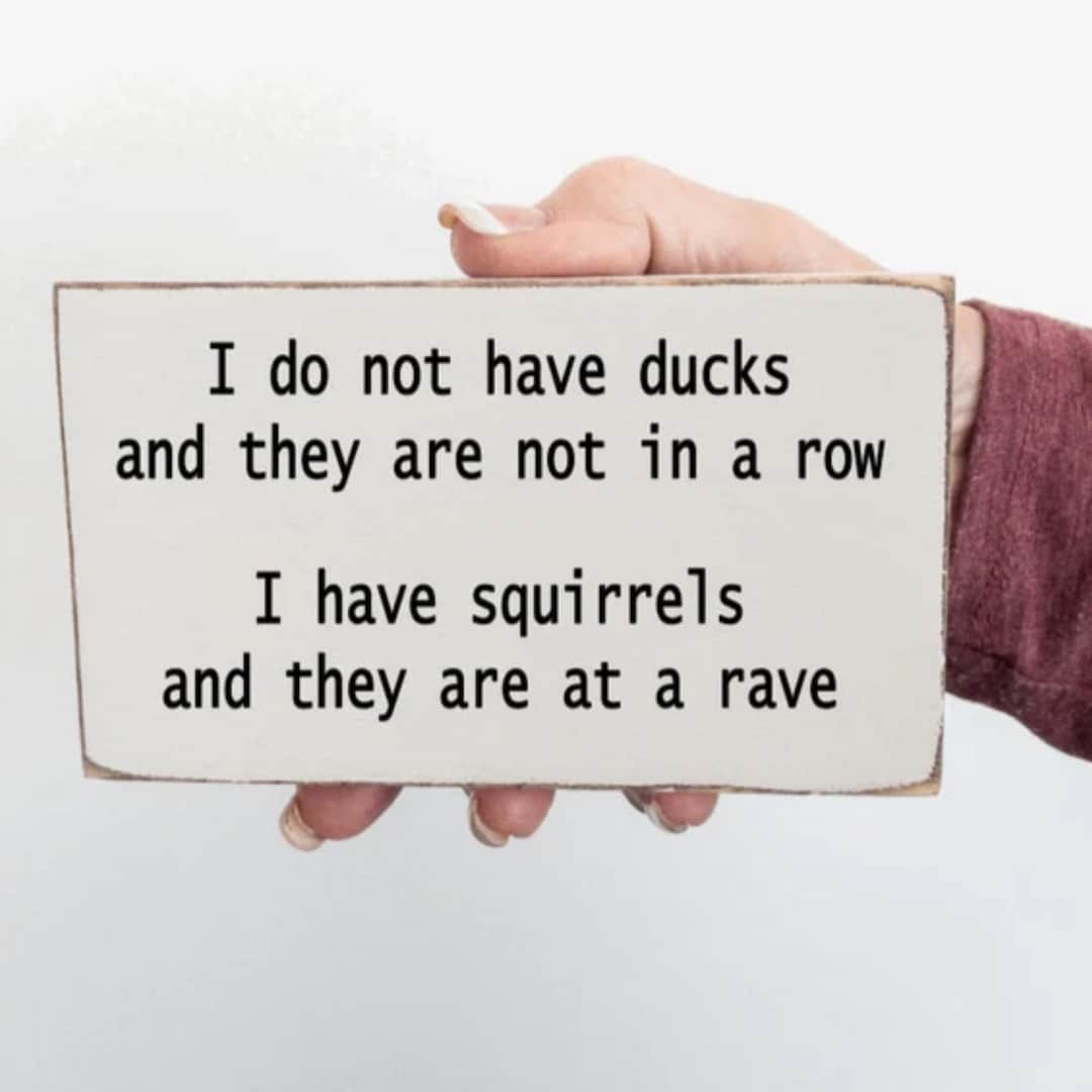 I Do Not Have Ducks and Not in a Row I Have Squirrels at a Rave Funny ...