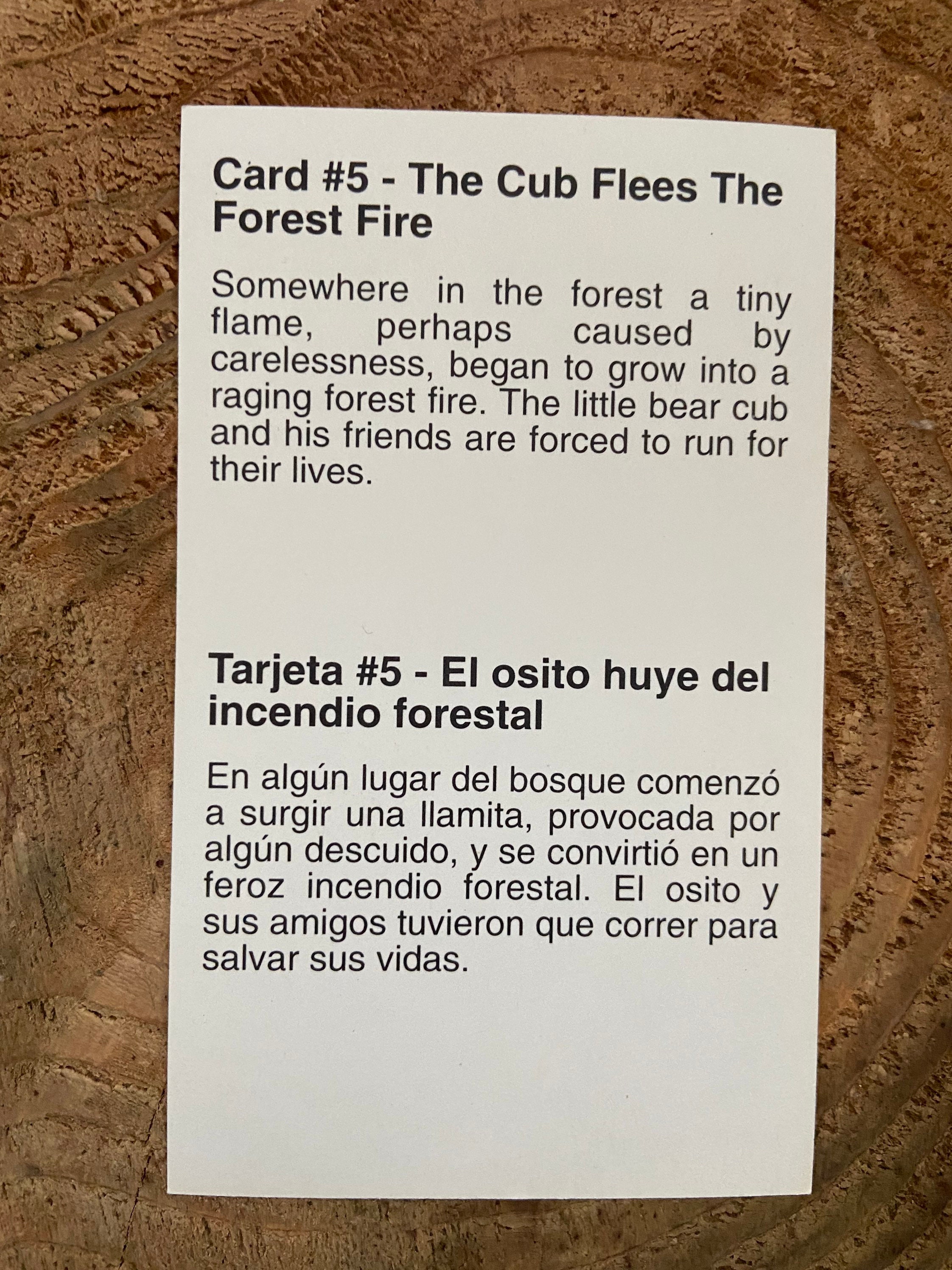 The Cub Flees the Forest Fire...card 5 - Etsy