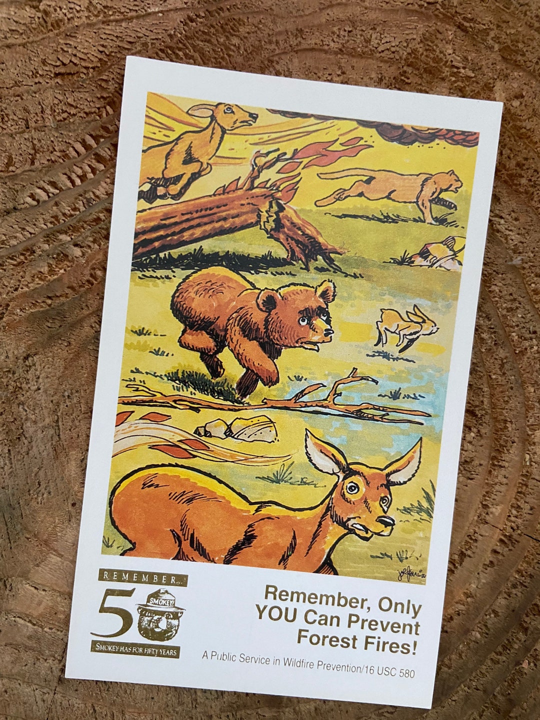 The Cub Flees the Forest Fire...card 5 - Etsy