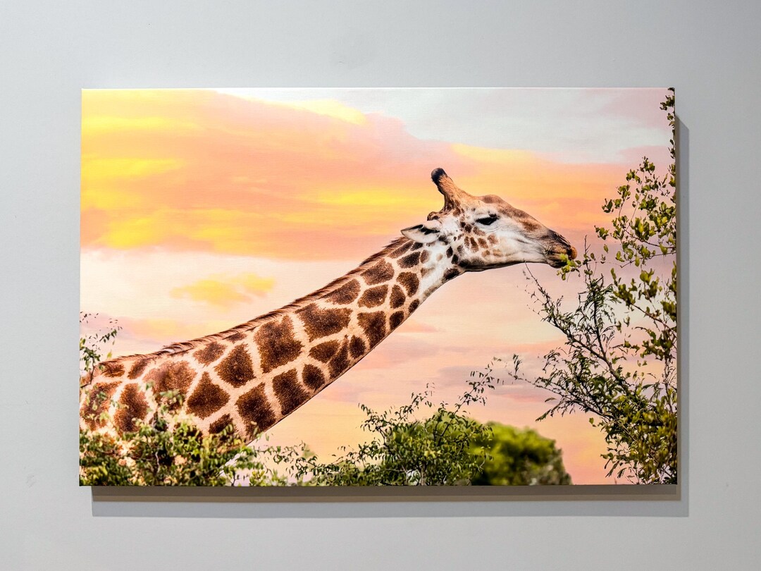 Safari Animal Prints - Instant Download | Nursery Wall Art | Set of 4 ...