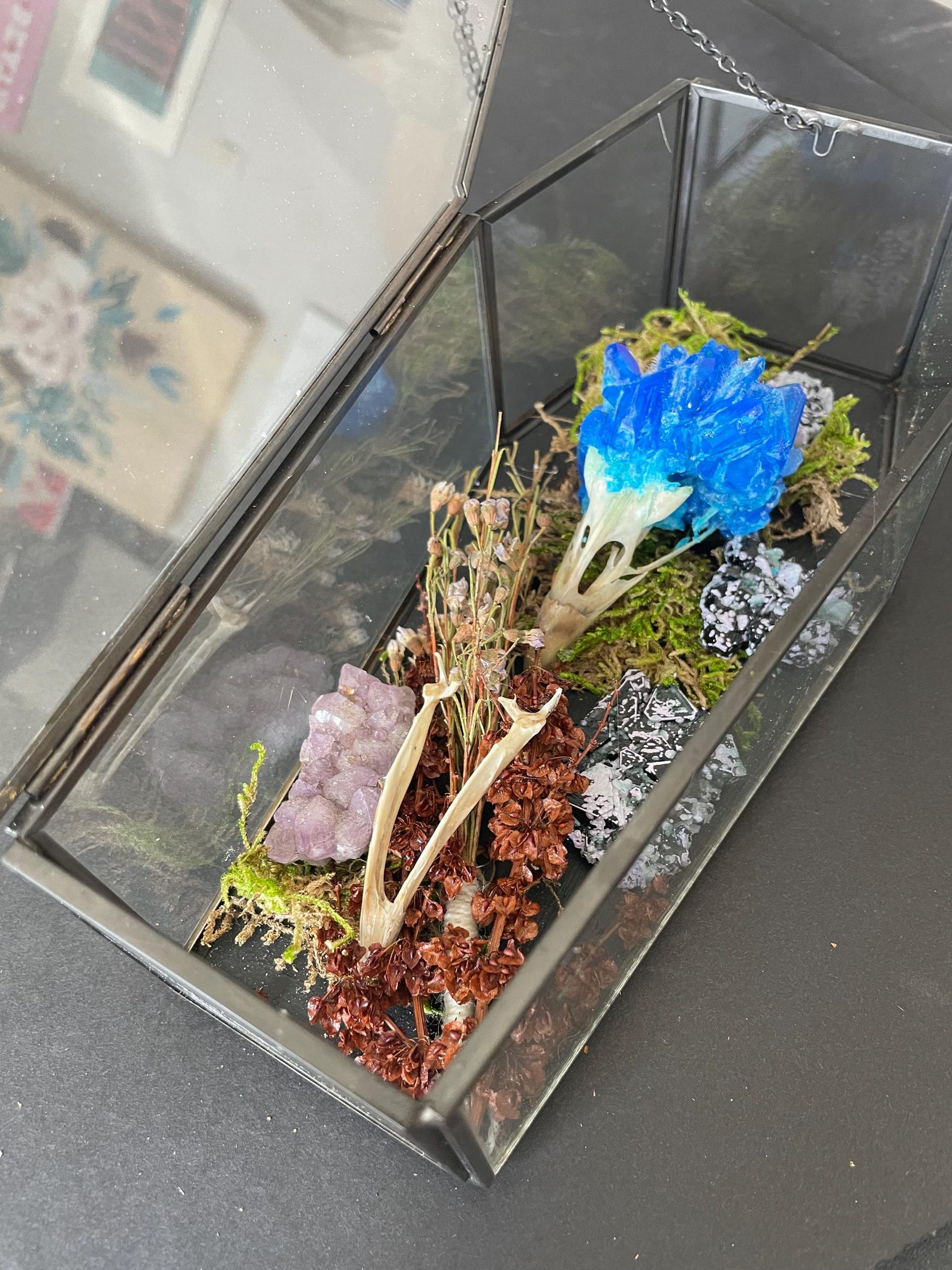 Blue Crystalized Bird Skull, Coffin Terrarium - Etsy