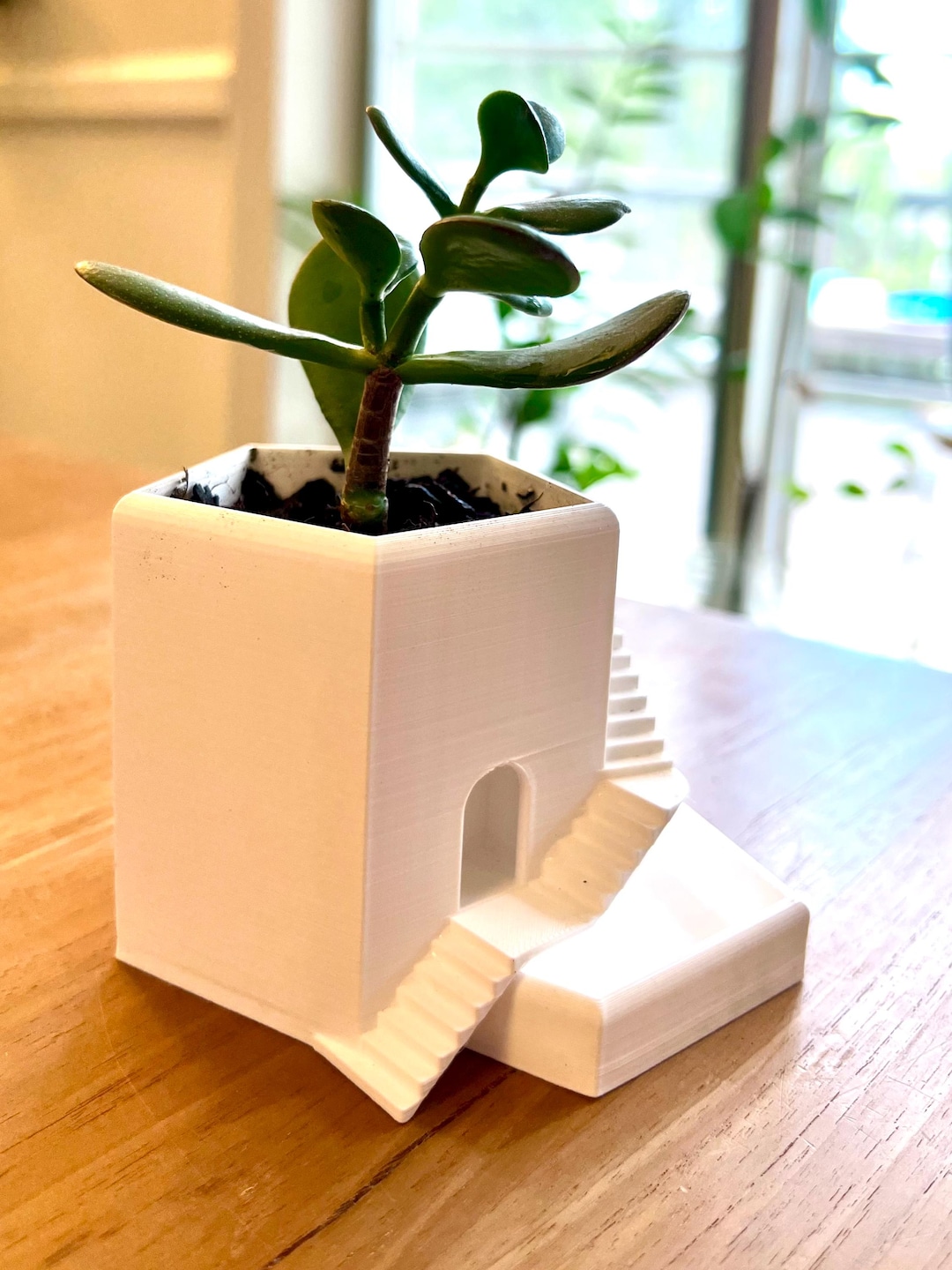 3D Printed Succulent Planter (set of 2) - Etsy