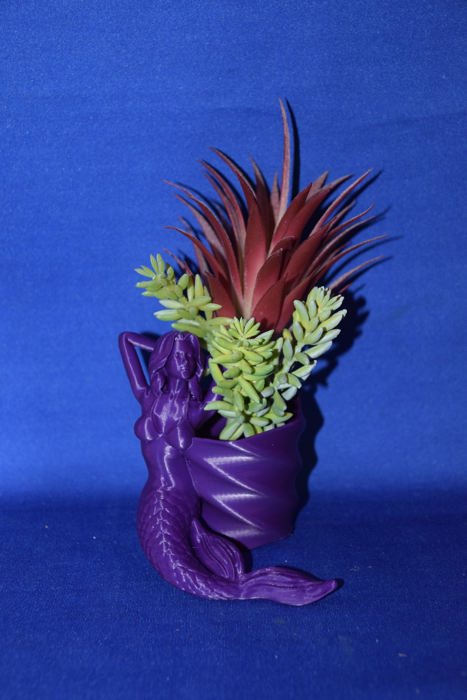 Female MERMAID Flower Succulent Pot Planter Air Plant Coin - Etsy