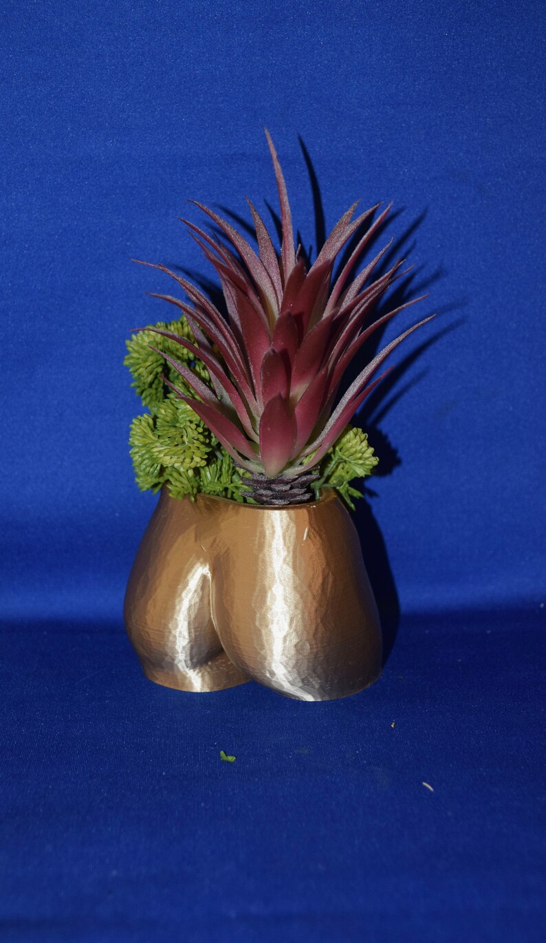 Female Butt Booty Bum Woman Nude Lower Torso Rear Flower - Etsy