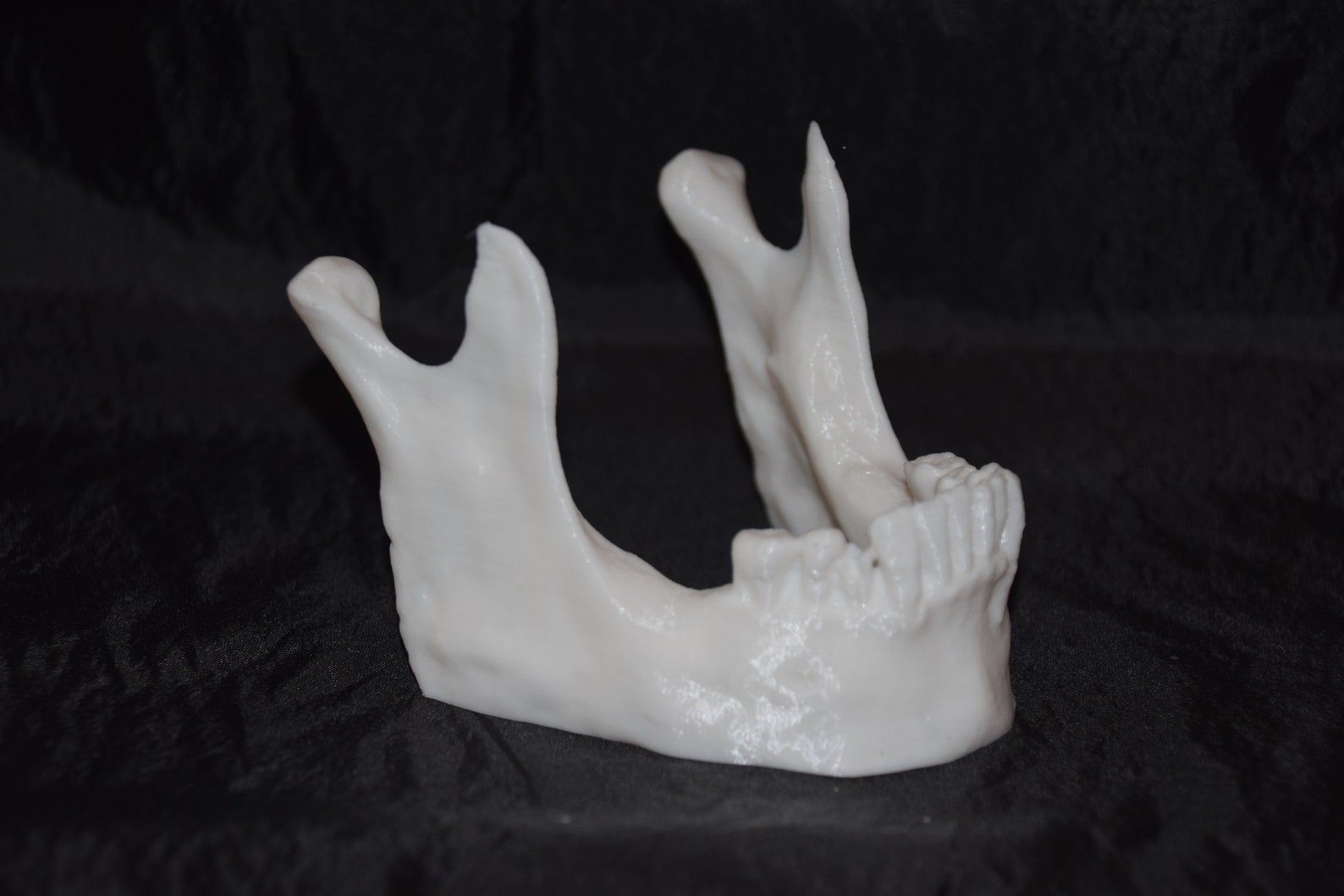 Phone Desk Stand Holder Human Jaw Teeth Fun for Office Desk | Etsy