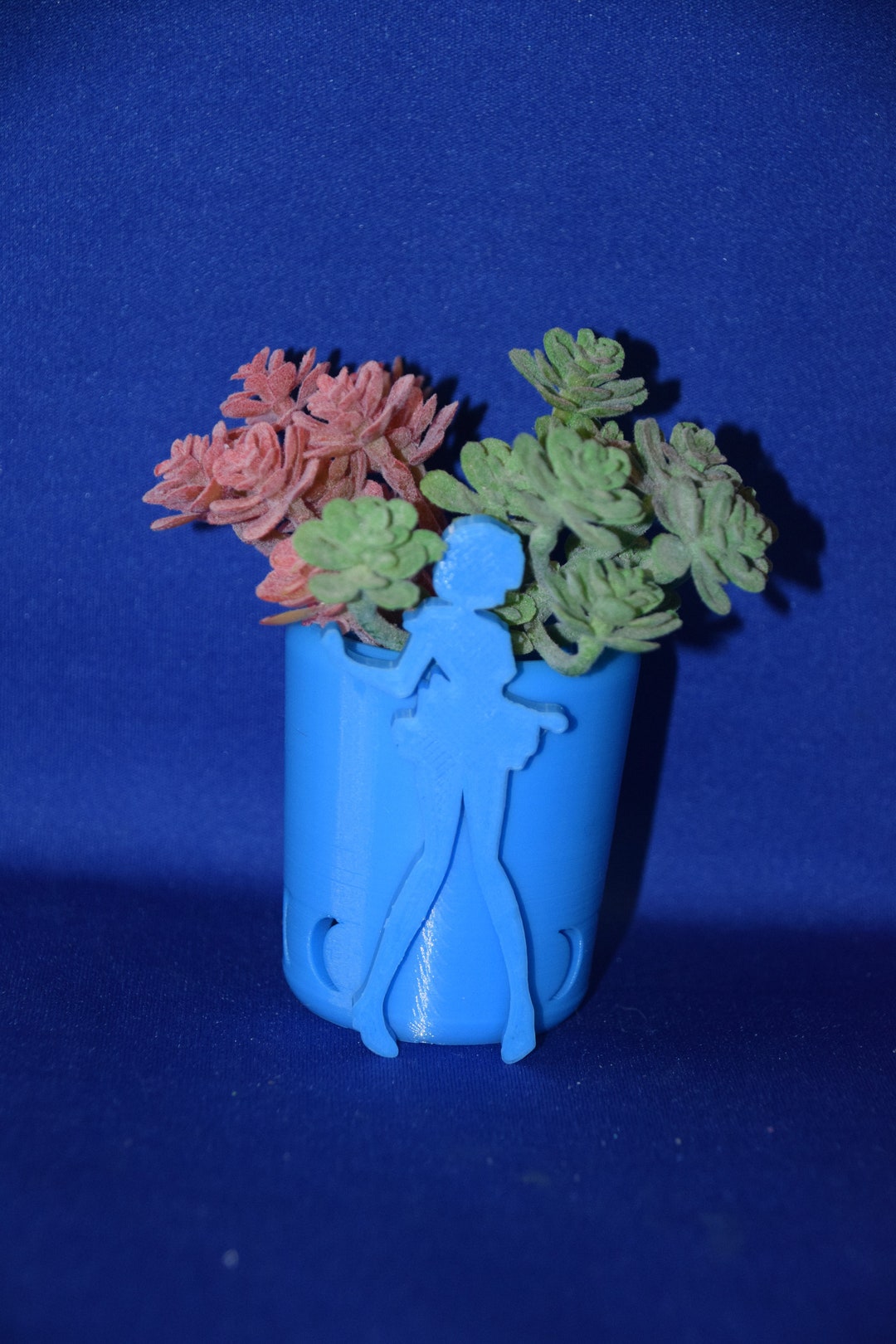 MERCURY Inspired Flower Succulent Pot Planter Air Plant Coin Pen Pencil ...