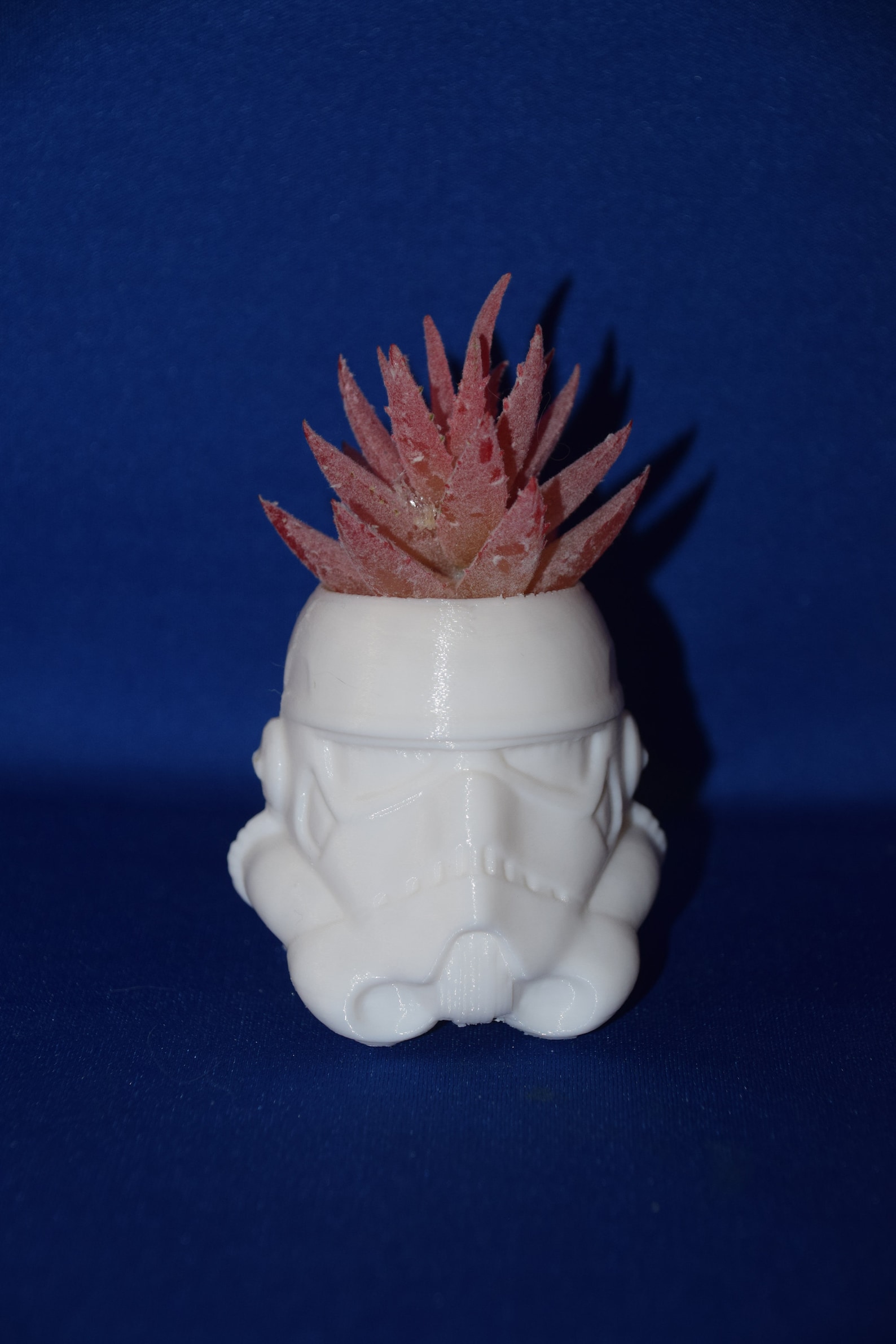 3D Printed Stormtrooper Planter: Star Wars Inspired Fan Art - Etsy