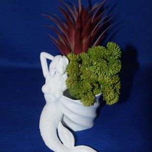 MERMAID Flower Succulent Pot Planter Air Plant Figure 3D Printed USA - Etsy
