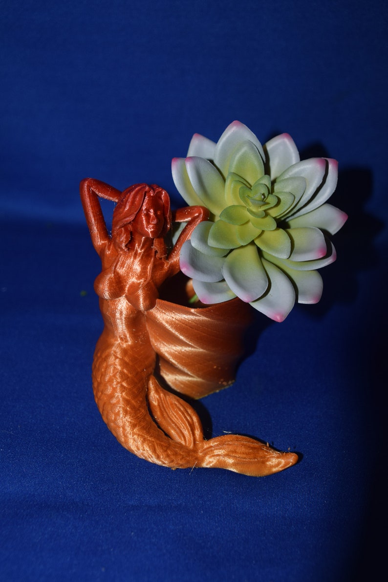 Female MERMAID Flower Succulent Pot Planter Air Plant Coin | Etsy