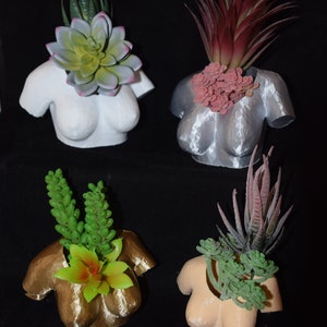 Breast Boobies Woman Nude Female Upper Torso Boob Flower Succulent Pot