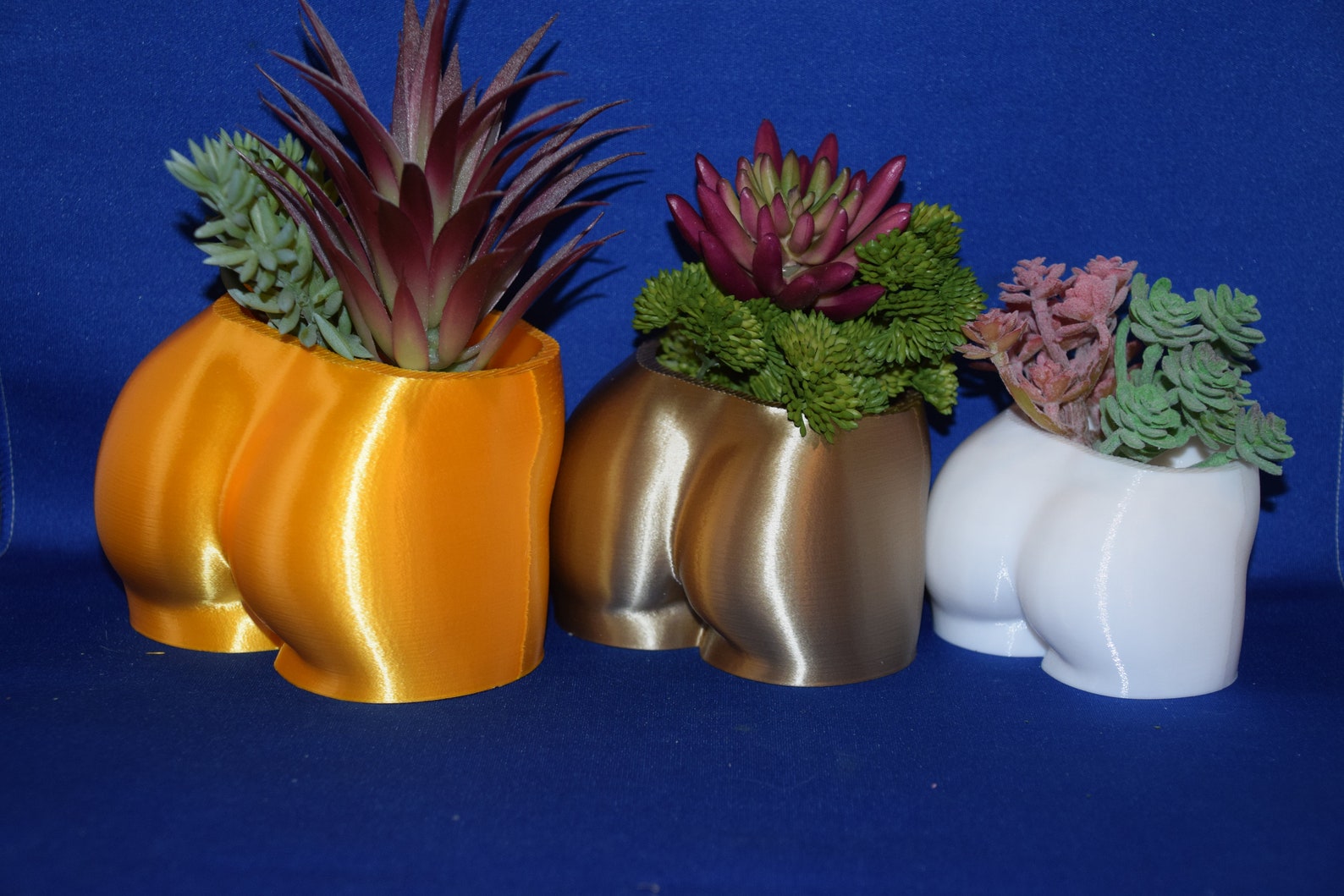 Nude Female Lower Torso Rear Booty Butt Bum Woman Flower - Etsy
