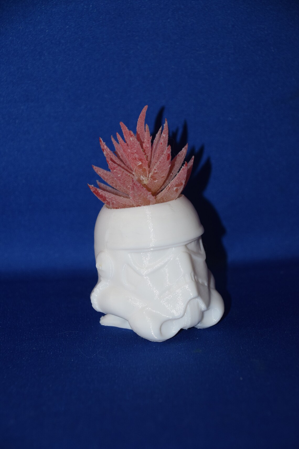 Storm Trooper Stormtrooper Star Wars Inspired Flower Succulent - Etsy