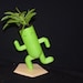 Cactus Cactuar Final Fantasy Flower Succulent Pot Planter Air - Etsy