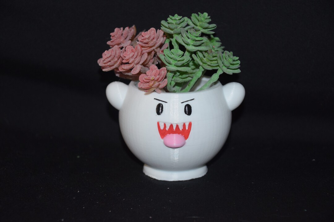 Super Mario Bros BOO Inspired Flower Succulent Pot Planter Air Plant ...