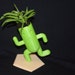 Cactus Cactuar Final Fantasy Flower Succulent Pot Planter Air Plant ...