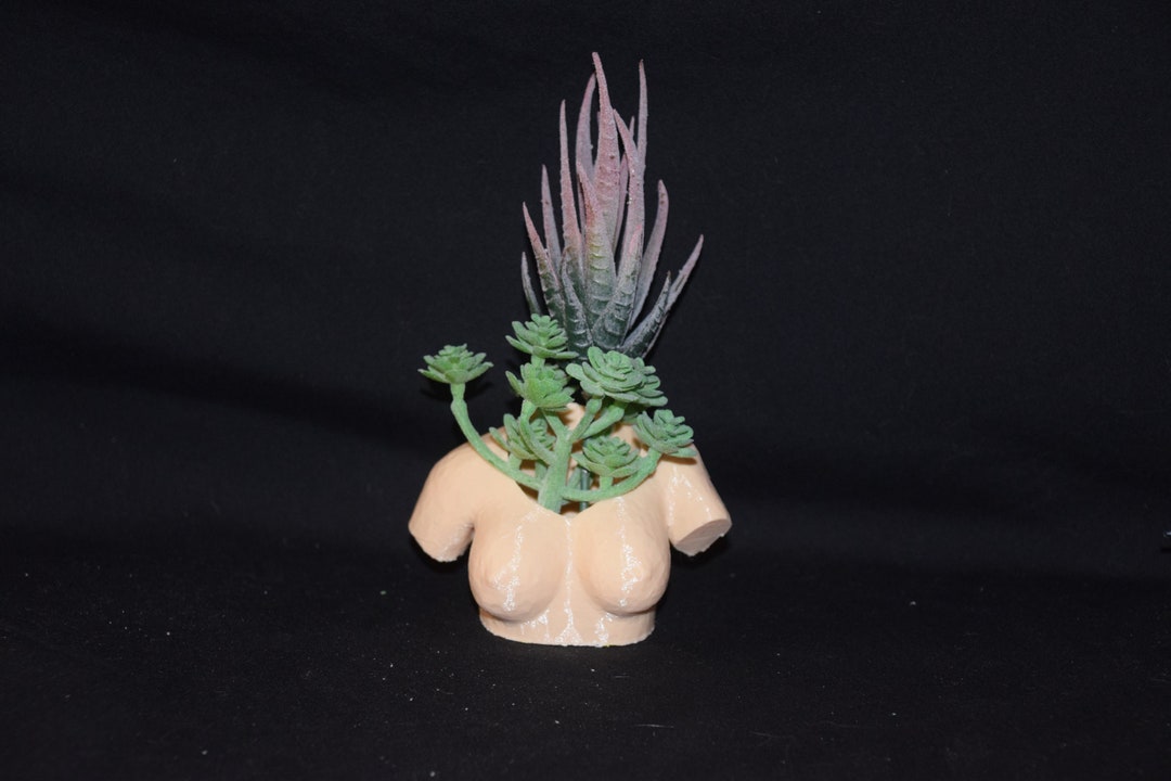 Breast Boobies Woman Nude Female Upper Torso Boob Flower Succulent Pot