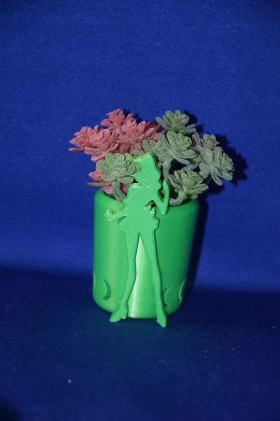 Sailor Moon JUPITER Inspired Flower Succulent Pot Planter Air - Etsy