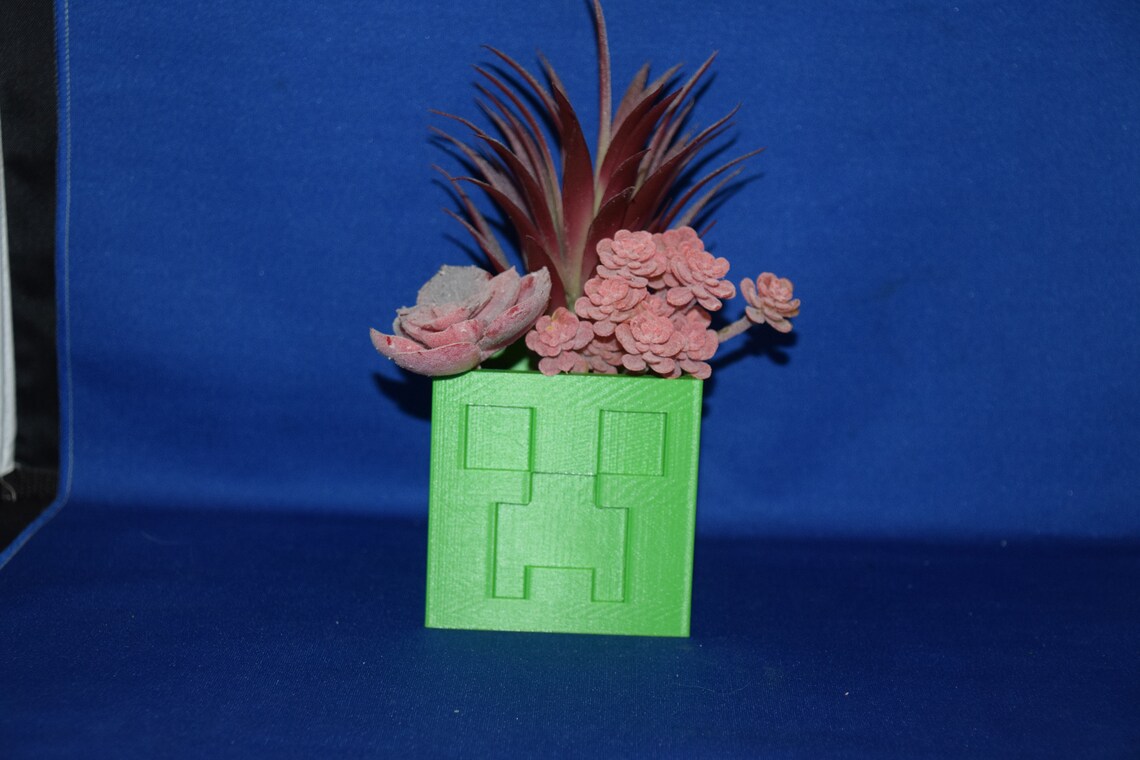 Minecraft Creeper ~ Pen Holder ~ Pencil Organizer ~ Coin Holder ~ 3D ...